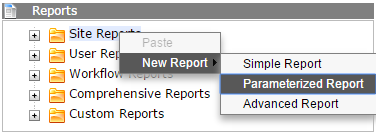 Creating a Parameterized Report